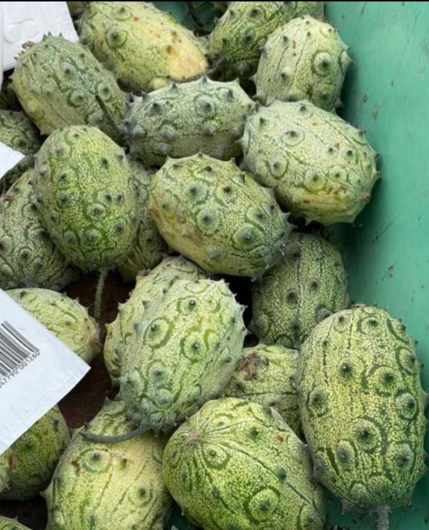Magaka/horned cucumbers (5) | Stebess Group