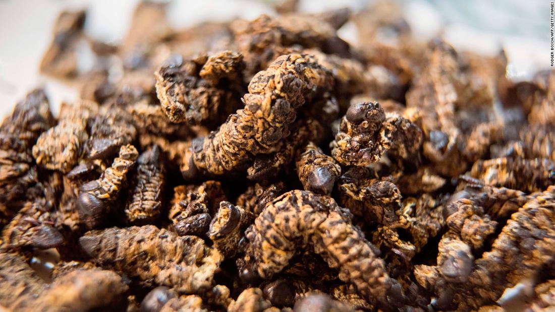 Sun Dried Edible Caterpillars - Madora / Mancimbi/Vinkubala/Mopane ...