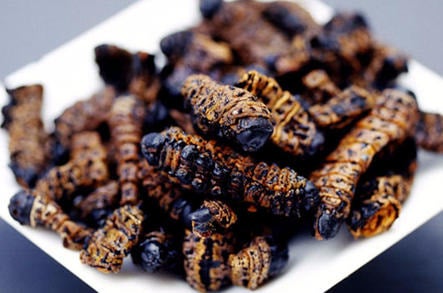 Sun Dried Edible Caterpillars - Madora / Mancimbi/Vinkubala/Mopane ...