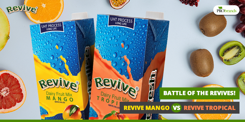 Revive 500ml | Stebess Group