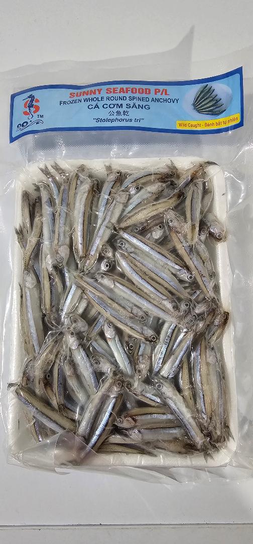 Frozen Fresh Kapenta (Anchovy) 400g | Stebess Group